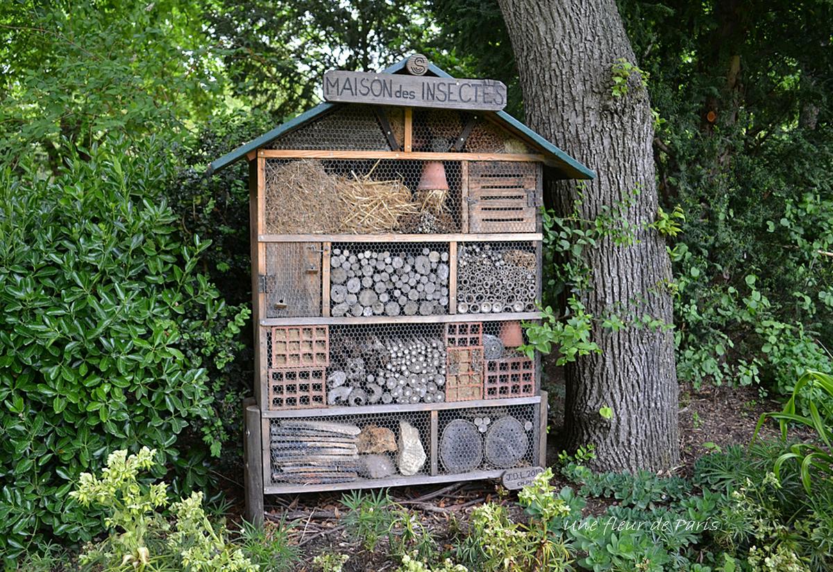 Insectario para jardín | Manualidades