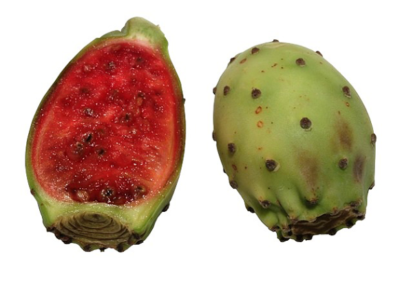 Lo que no sabías sobre el Higo Chumbo y el Nopal | Cocina