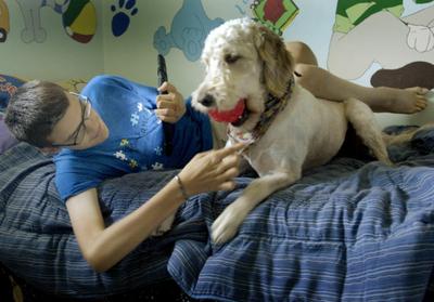 CONOCE COMO TRABAJA EL PERRO DE ALERTA MEDICA | Mascotas