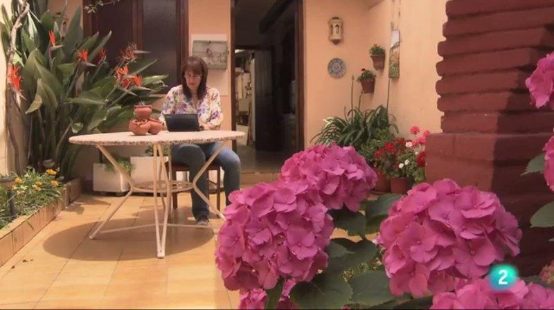 Tipos de tierra para tus plantas | Plantas