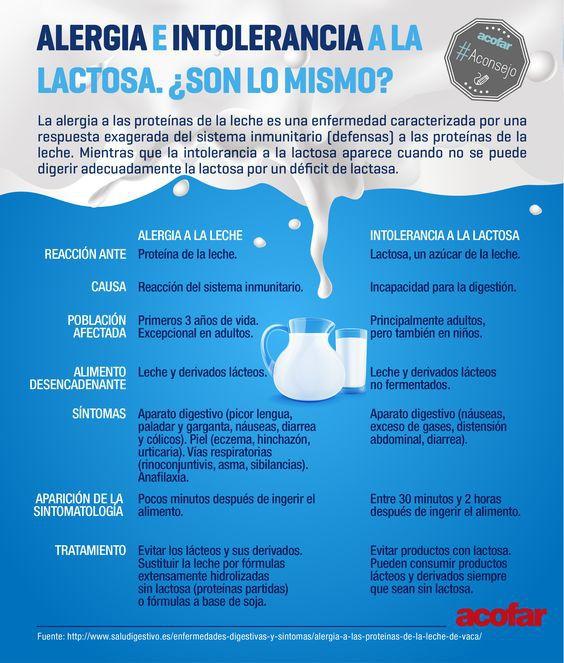 ¿qué Es La Intolerancia A La Lactosa Esto Es Lo Que Puedes Comer Y Lo