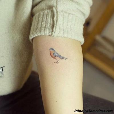 30 hermosos y conmovedores tatuajes de mascotas | Entretenimiento