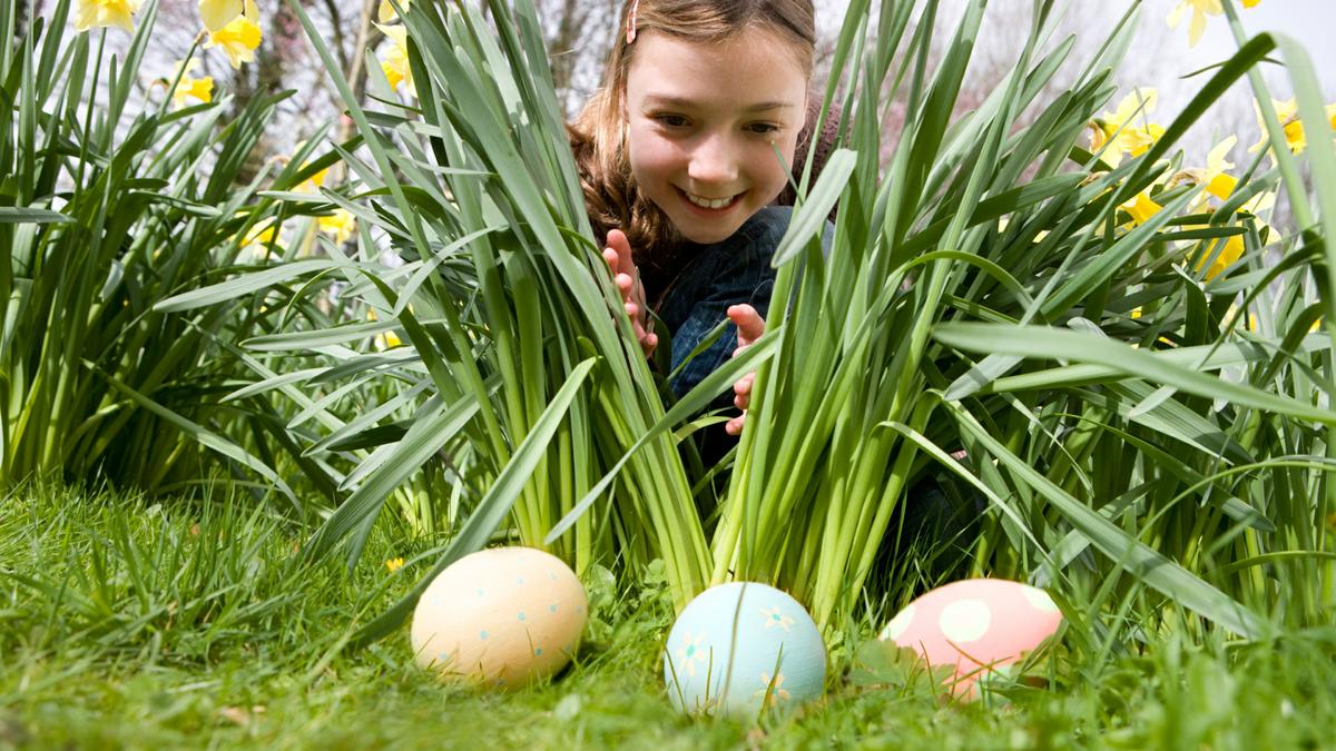 Cómo organizar la búsqueda de los huevos de pascua | Padres