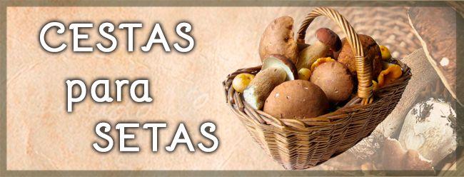 Pleurotus ostreatus, seta de ostra deliciosa y medicinal | Plantas