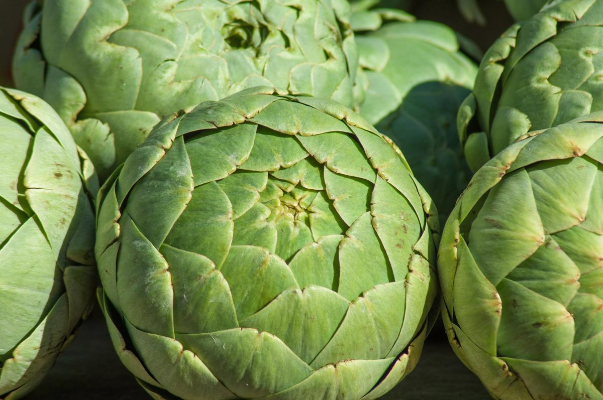 7 vegetales que solo deberás comprar una vez | Plantas
