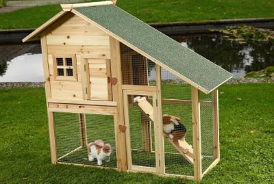 ¿Dónde viven los conejos? | Mascotas