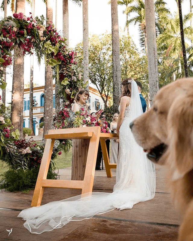 Ideas y consejos para celebrar tu boda junto a tu perro | Bodas