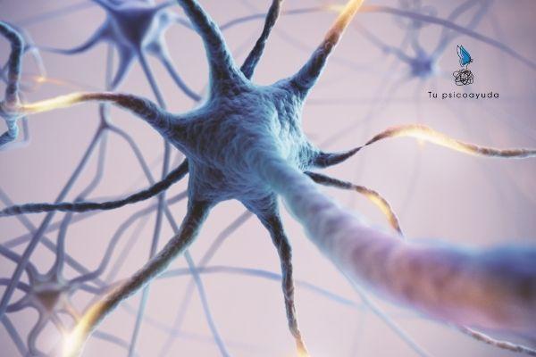Todos los sesgos cognitivos detallados y explicados | Ecología