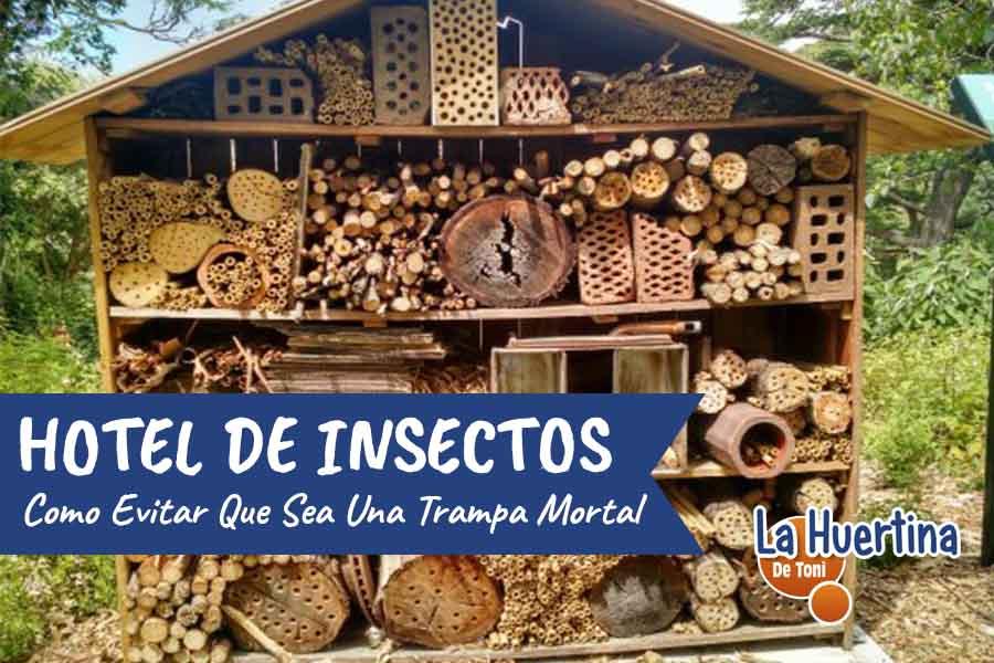 Qué es y cómo hacer un refugio para insectos | Plantas