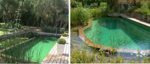 Piscinas Naturales. Depuración biológica. | Ecología