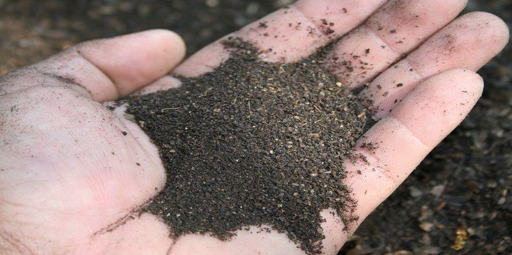 Cómo hacer el sustrato ideal para cultivar en casa | Plantas