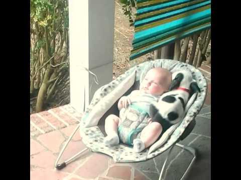 Un bebé que comparte cuna con su perro: momentos entre un bebé y un ...