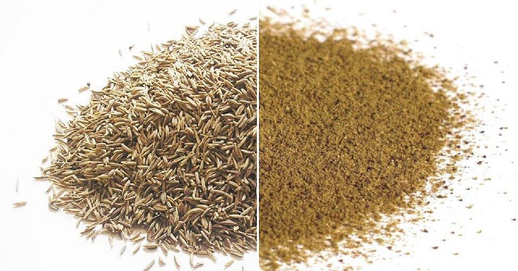 El comino y sus propiedades | Salud