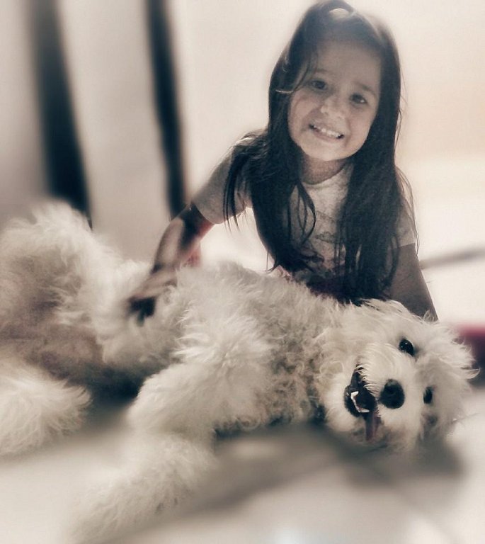 Cómo benefician los perros a los niños autistas: conoce los beneficios ...