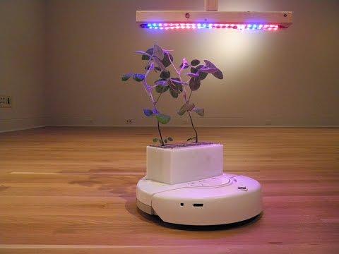 ¿Sabías que han inventado una maceta robotizada que mueve las plantas ...