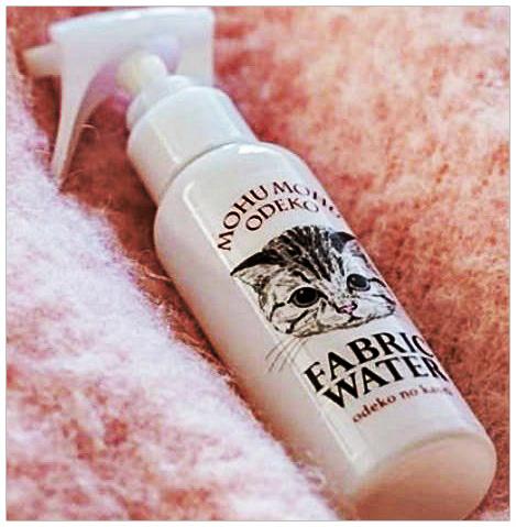 ¡Perfume con olor a frente de gato! | Mascotas