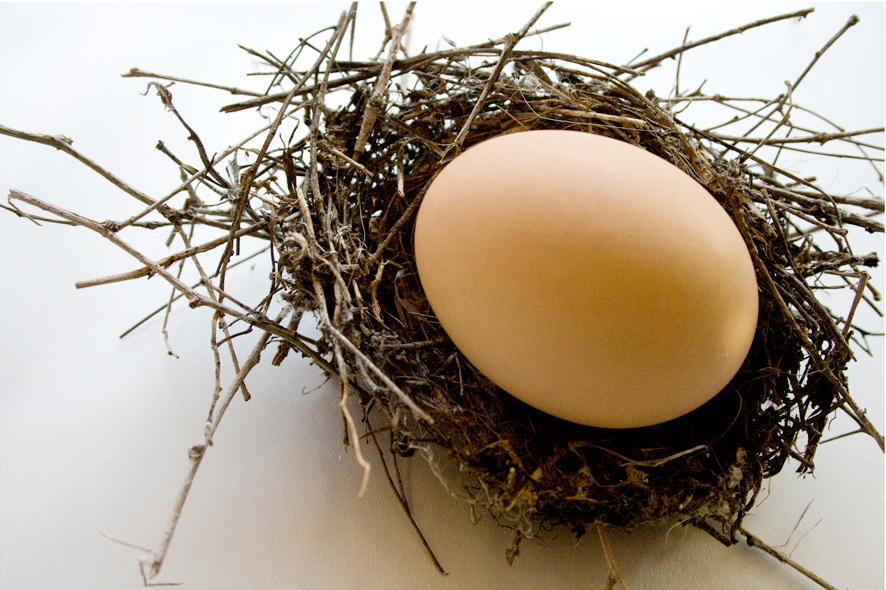 Todo sobre el huevo | Cocina