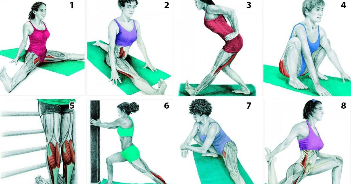 Definicion De Elongacion Muscular Que Es Significado Y Concepto Images ...