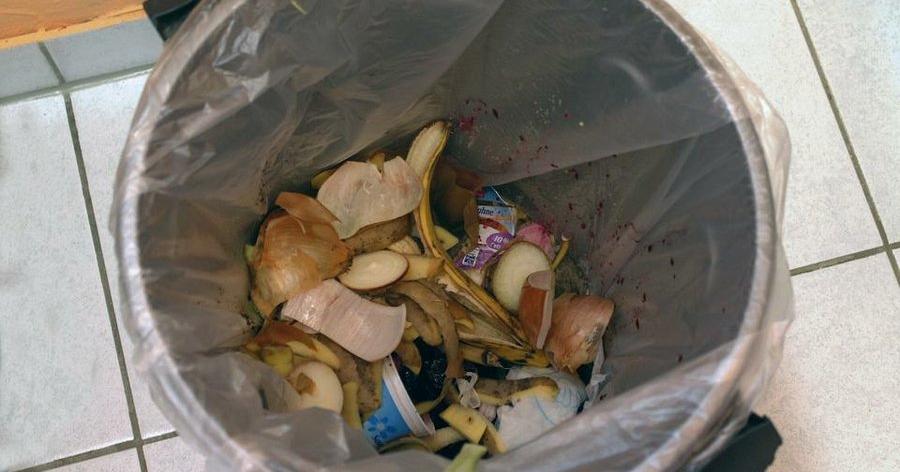 Consejos para no tirar la comida a la basura | Cocina