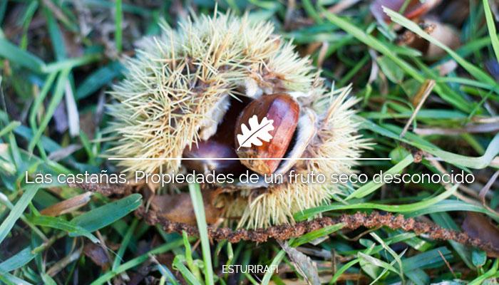 Las castañas, historia y propiedades de un fruto seco desconocido ...