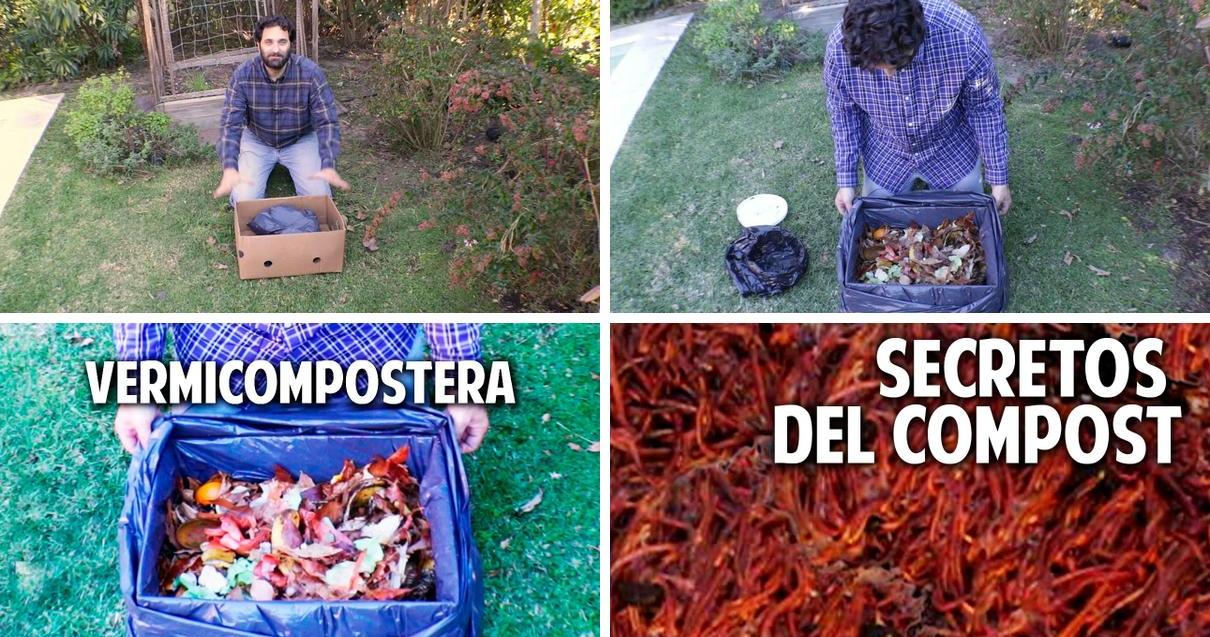 Cómo hacer una vermicompostera con una caja de cartón: ¡fácil y muy ...