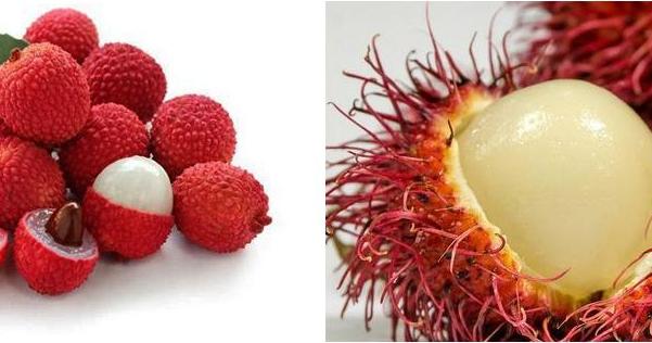 ¿Cómo diferenciar el lichi del rambután? | Plantas