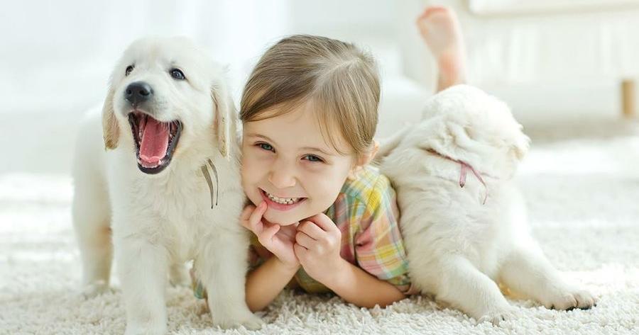 Las 25 fotos más tiernas de niños con animales | Mascotas