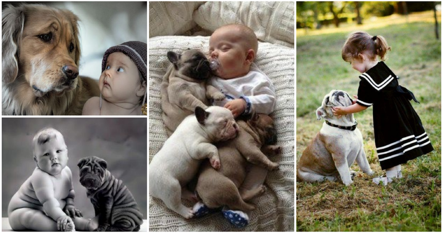 Las fotos más tiernas de niños con perros | Mascotas