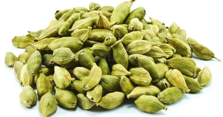 Qué es la planta del cardamomo | Plantas