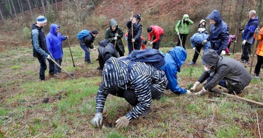 La Compensación de Huella de Carbono de Skunkfunk | Ecología