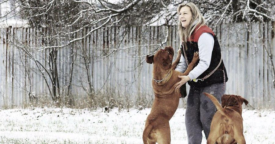 Mini-consejo canino: aprende a saludar a un perro | Mascotas