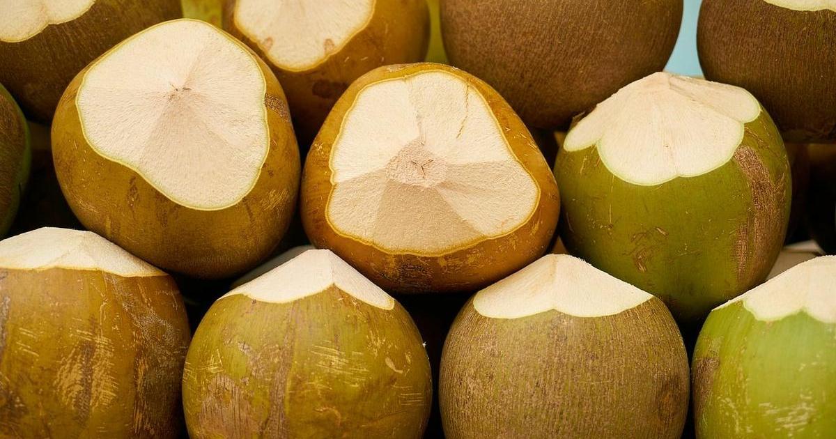 Coco, la tradicional fruta tropical | Salud
