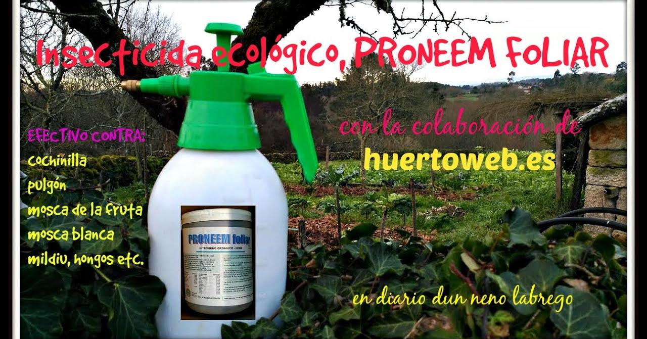 El mejor insecticida del mundo, la biodiversidad | Plantas