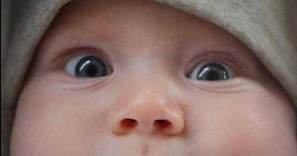 Carácter y ternura | Padres