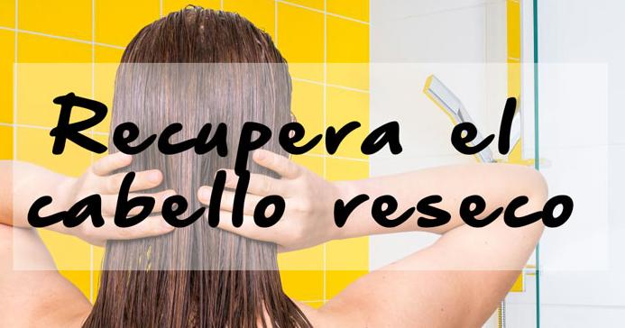 Los mejores tratamientos para el cabello reseco | Belleza
