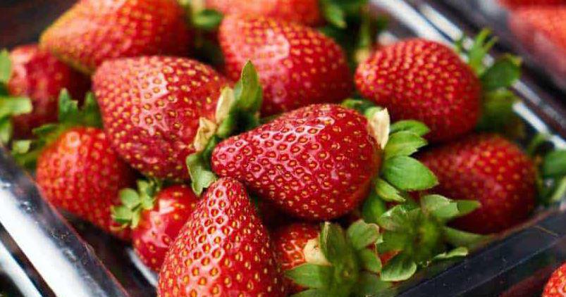 Propiedades de las fresas y sus beneficios para la salud | Ecología