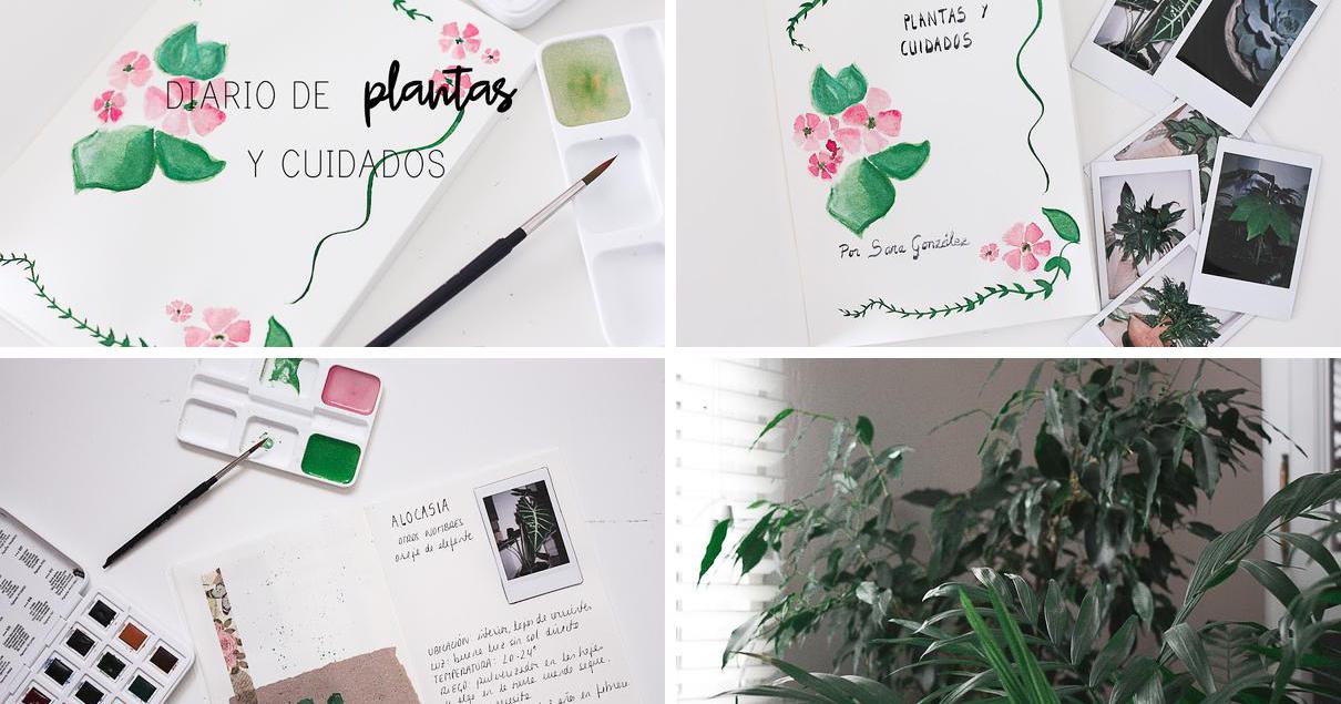 Diario de plantas y cuidados | Plantas