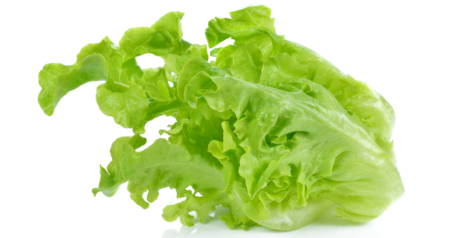 Lechuga Batavia: claves de su cultivo y características | Plantas