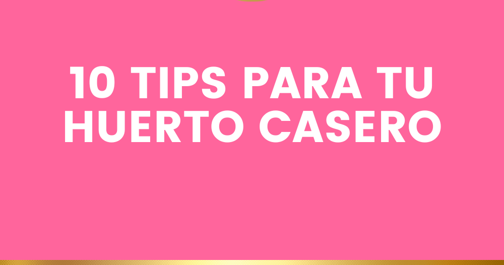 10 Tips De Huertos Caseros Para Principiantes Plantas