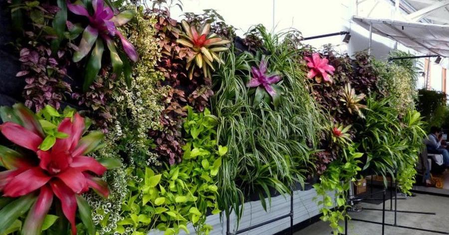 Jardines Verticales: ventajas y recomendaciones | Plantas