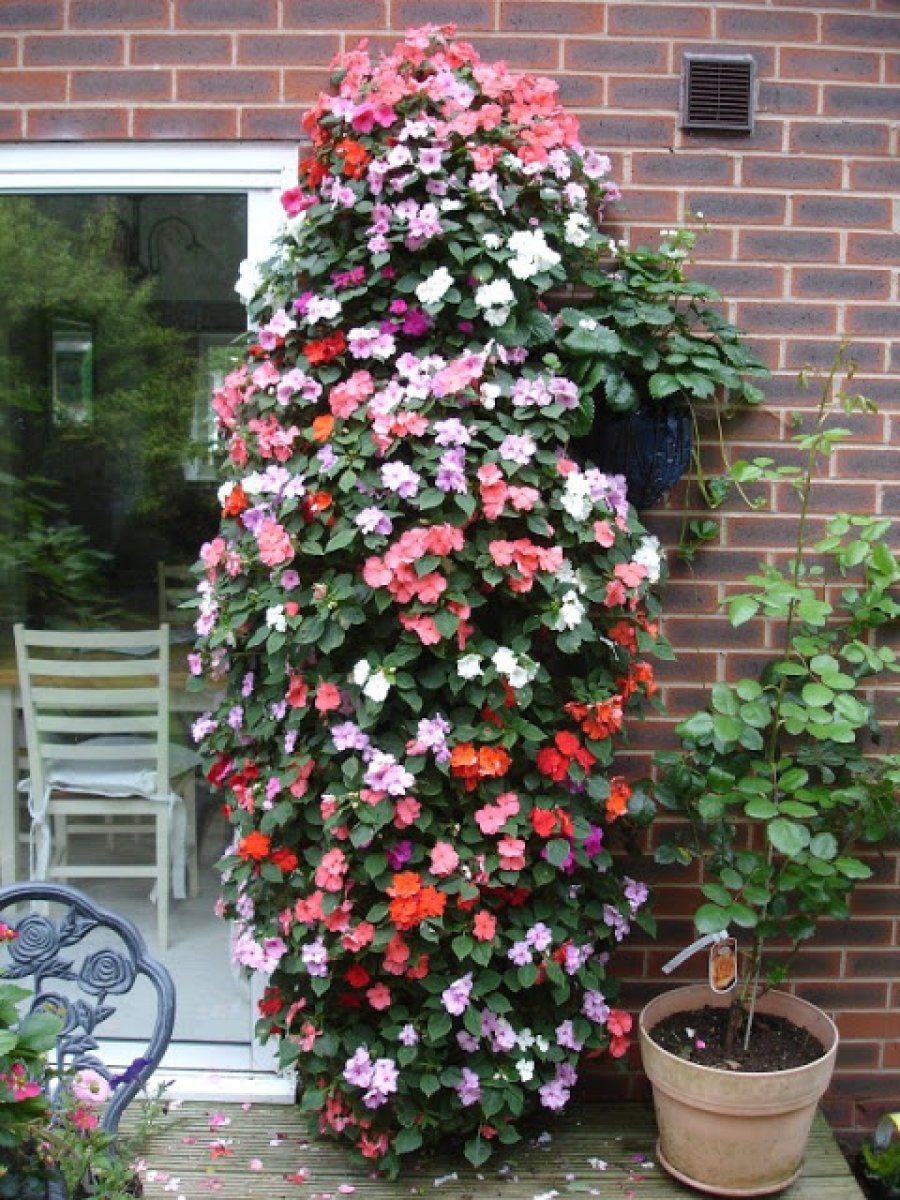 Macetas verticales: una buena idea de cultivación | Bricolaje