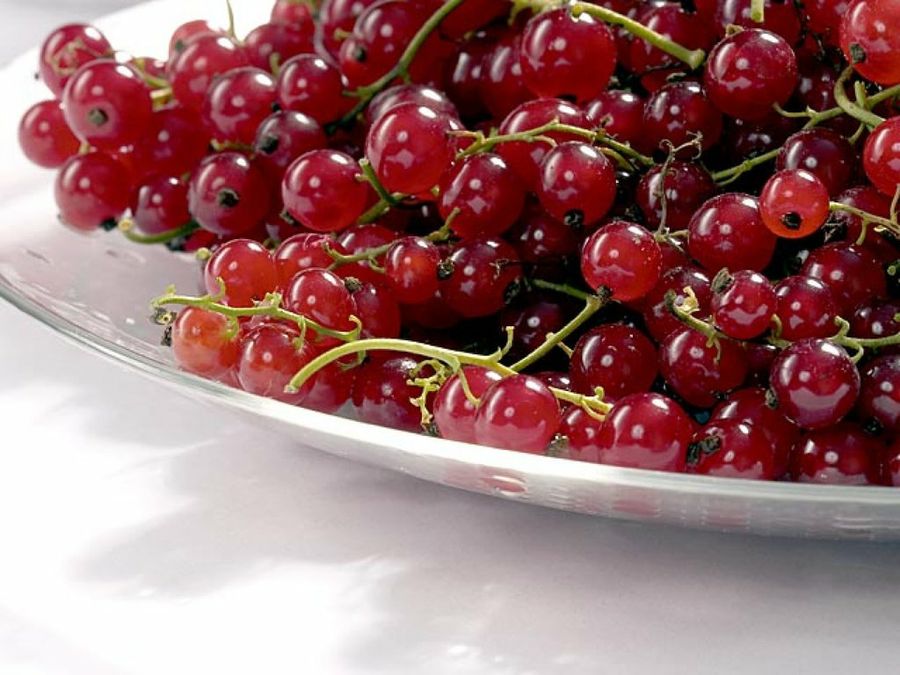 Frutas: tips y recomendaciones | Cocina