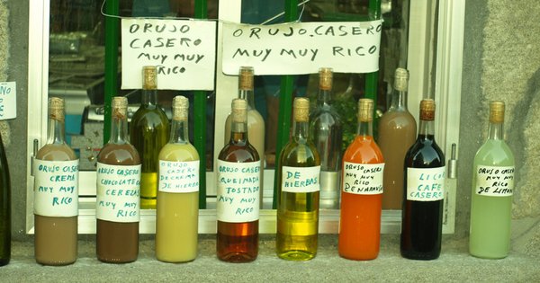 Cómo hacer una cataplasma de hierbas frescas | Plantas