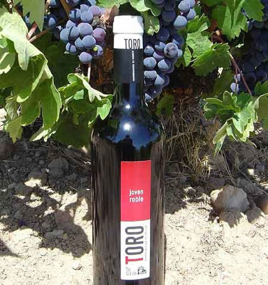 Vinos de Toro, Denominación con tradición | Cocina