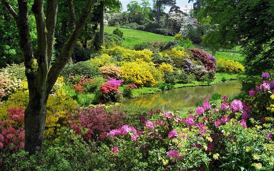 40 jardines y parques más bellos del mundo: datos interesantes | Plantas