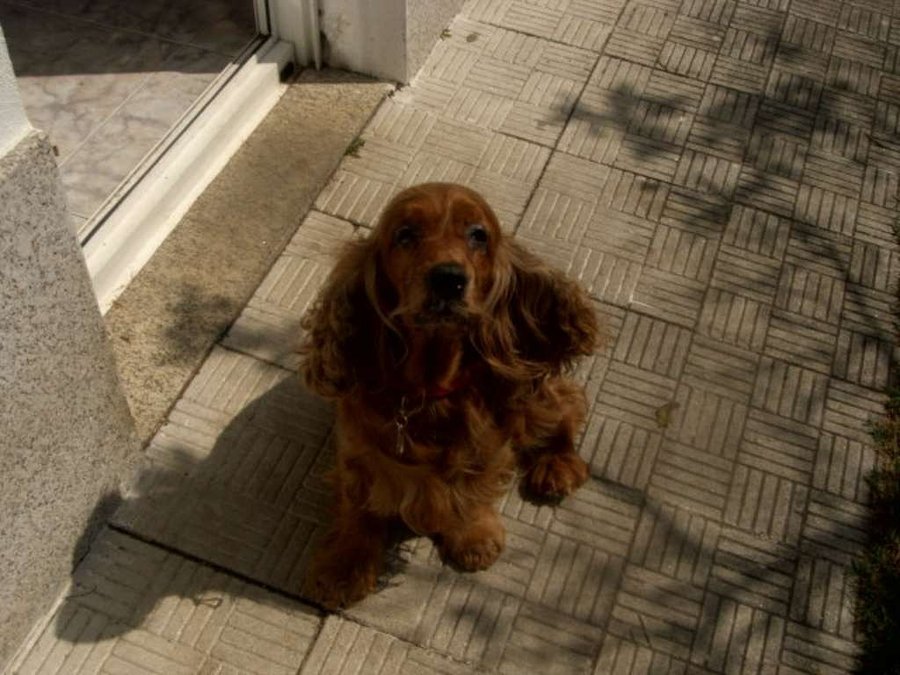 Un menú perfecto para las fiestas: consiente a tus invitados | Cocina