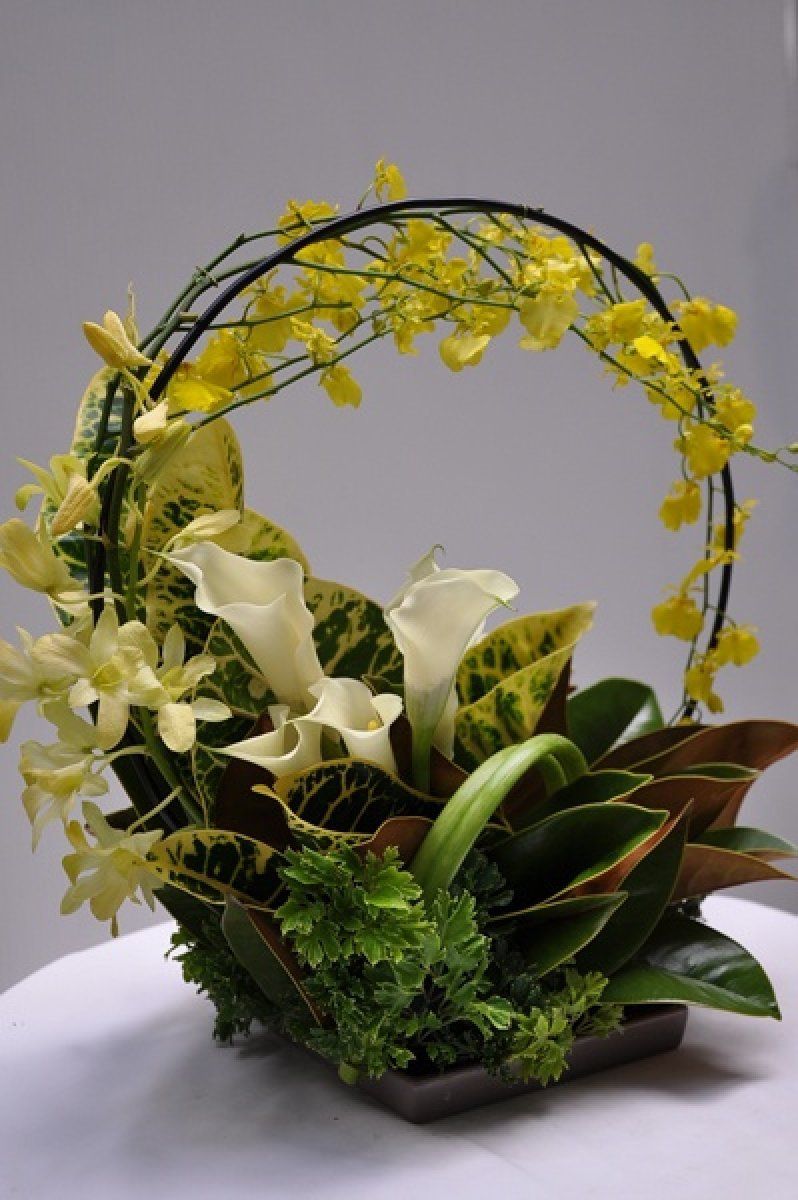 Diseños florales: arte floral | Plantas