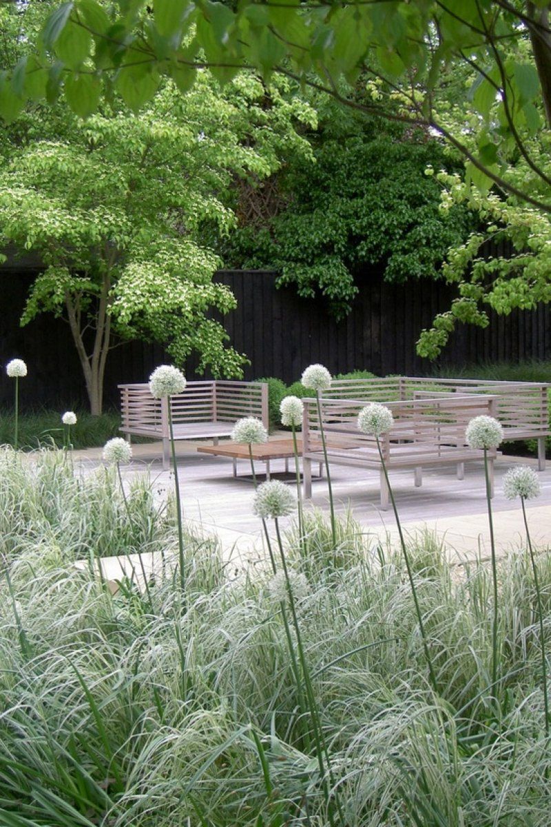 Jardines hermosos: imágenes llenas de pureza y paz con blanco | Plantas