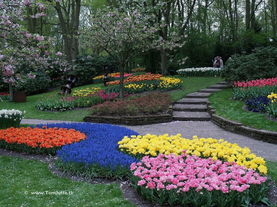 40 jardines y parques más bellos del mundo: datos interesantes | Plantas