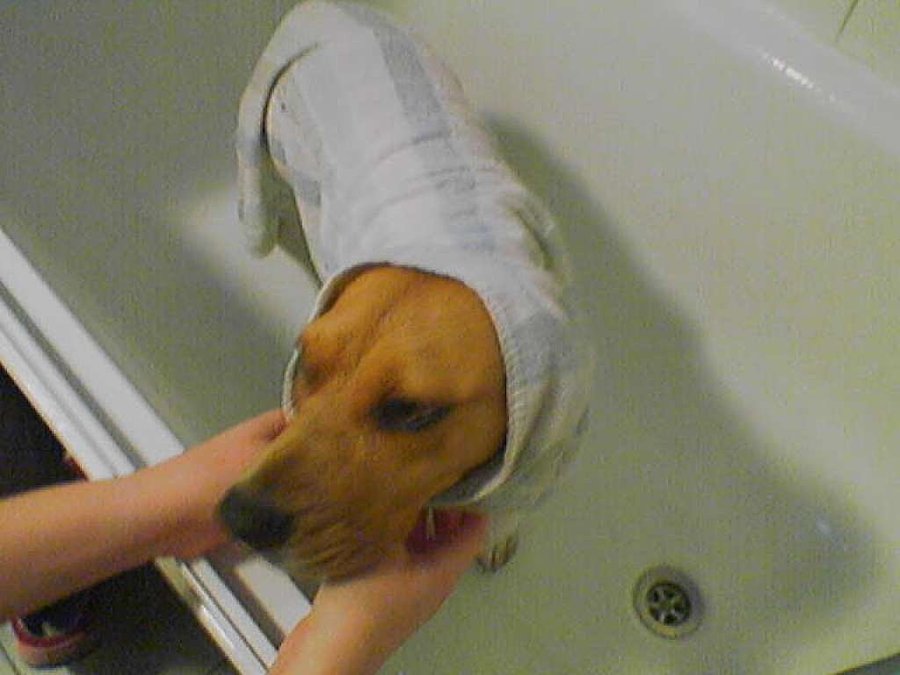 Chimichangas de Deadpool: paso a paso | Cocina